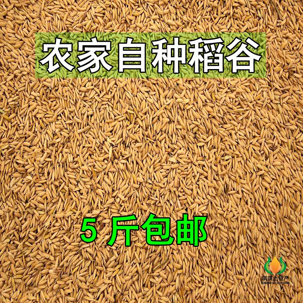 空壳的稻谷有什么用 稻壳280一吨 稻壳的用途 大山谷图库